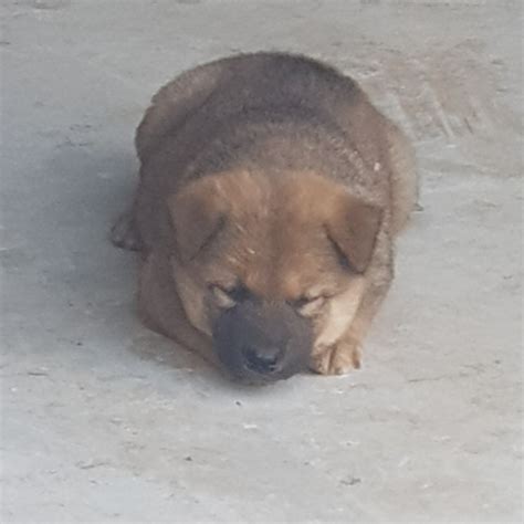 Plz Give Me A Ledger X Code 🙏 Rledgercode