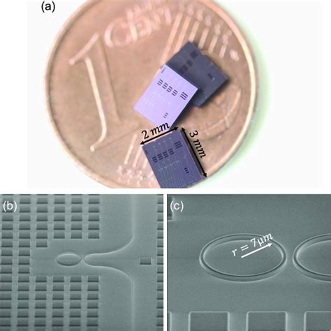 Pdf Silicon Photonic Micro Ring Resonators For Chemical And Biological Sensing A Tutorial
