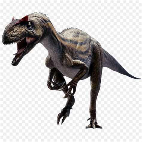 Allosaurus Png 20 Free Cliparts Download Images On Clipground 2026