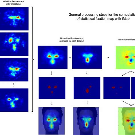 general processing steps for the computation of a statistical fixation