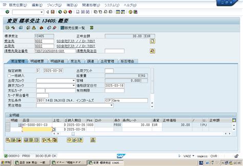 Sap Sd学习笔记32 Service品目服务产品） Csdn博客
