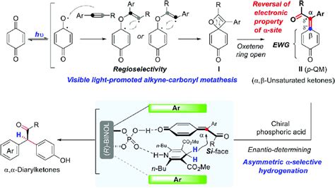 Proposed Reaction Pathways Download Scientific Diagram