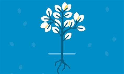 20m and the launch of address verification api at lob