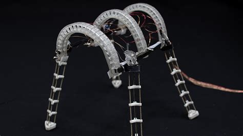 Watch Frog Inspired Robots Hop Swim And Jump Popular Science