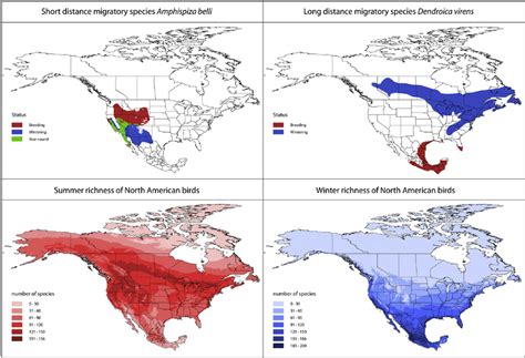Summary Of Basic Patterns In The Migratory Bird Data Set Examples Of