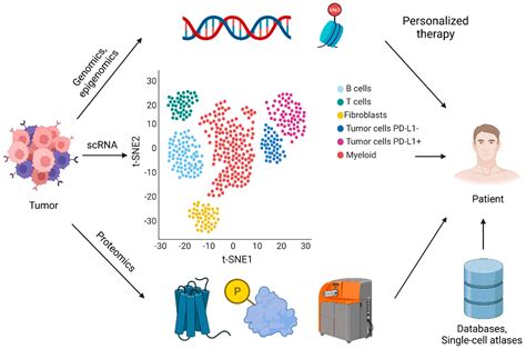 An Overview Of Single Cell Rna Sequencing For Drug Discovery Pmglfp