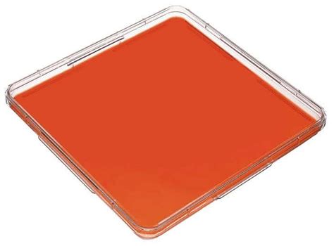 Corning Cell Culture Dish Sterile Polystyrene Square Tc Treated