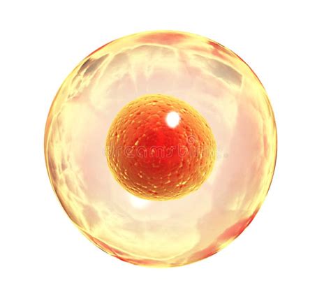 Organic Cell Structure Seamless Pattern Stock Vector Illustration Of Seamless Molecular 50382996