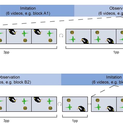 Associative Inference Task A Participants Learned Overlapping Pairs Download Scientific