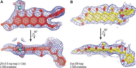 X Ray And Cryo Em Maps Of Ribosome Bound Thermorubin A 2fo Fc Download Scientific Diagram