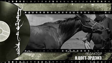 МАЛЫН ГОЦ ХАЛДВАРТ ӨВЧИН Youtube