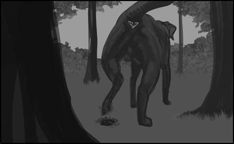 Rule 34 Absurd Res Anus Balls Bodily Fluids Canid Canine Canis