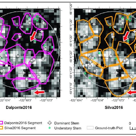 Examples Of Ecognition Segmentation Outputs For A Plot With Large