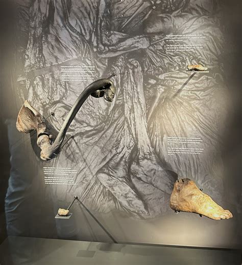 The Tollund Man And Elling Woman A Meeting At Silkeborg Museum The