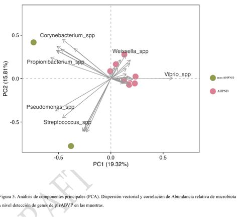 Principal Component Analysis Pca Vector Dispersion And Correlation