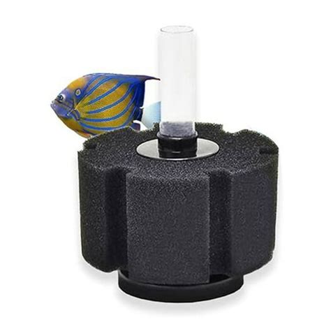 Sponge Filter For Fish Tank In Fish Tank Filters And Pumps