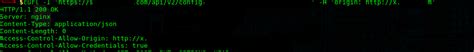 exploiting cors misconfiguration using xss