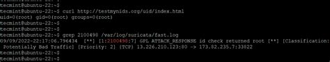 Suricata Intrusion Detection And Prevention Security Tool