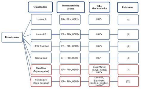 The Intrinsic Subtyping Of Breast Cancer Based On Immunohistochemical