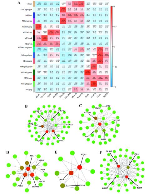 Weighted Gene Correlation Network Analysis Wgcna Of All Samples In O