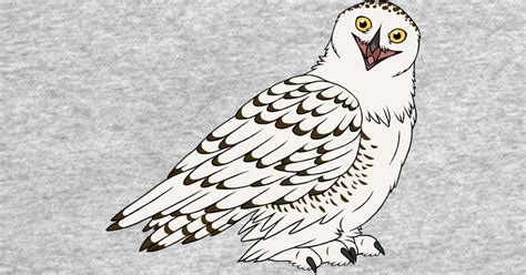 Orly Owl Owl Hoodie Teepublic
