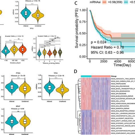 Clinical And Molecular Characteristics Of Nsclc Patients Associated Download Scientific Diagram