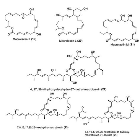 Macrolides From Marine Macroalgae Bacillota Download Scientific Diagram