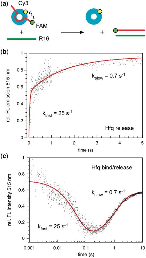 Hfq Binding And Release During Annealing A Hfq Displacement Was Download Scientific Diagram