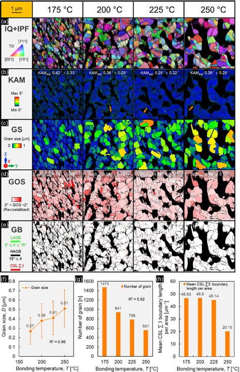 High Magnified View Of Ebsd Analysis Results Of The Ag Sintered Porous Download Scientific