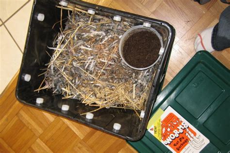 Vermicomposting Using Worms To Speed Up Compost Production Philadelphia Orchard Project