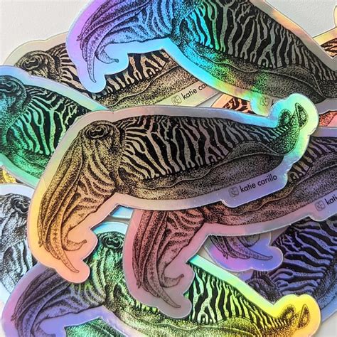 Cuttlefish Etsy