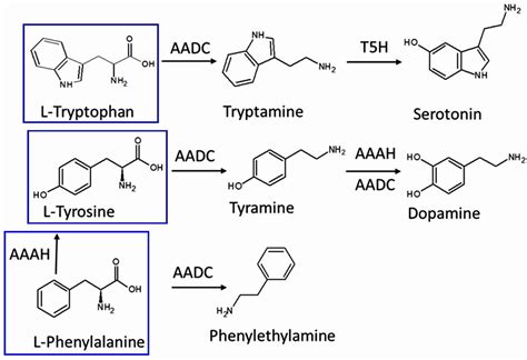 Heat And Cold Stressed Individuals Of Pistacia Lentiscus Mastic Tree