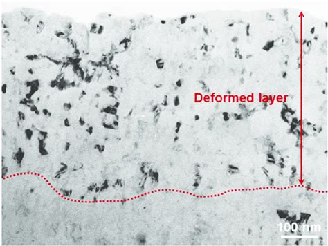 Transmission Electron Micrograph Of The Cross Section Of The Download Scientific Diagram