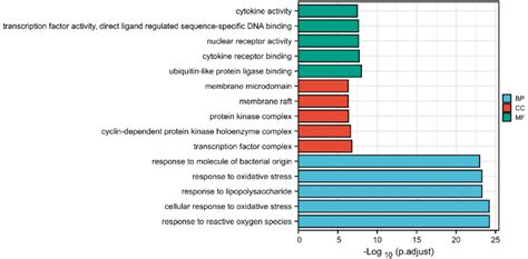 Go Enrichment Analysis Adjusted P Value