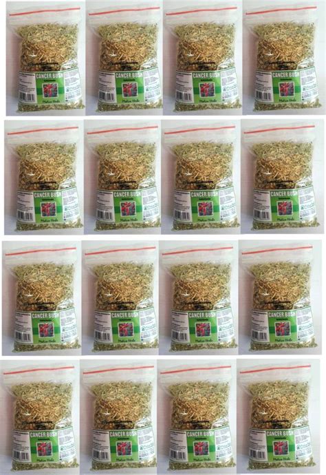 Re Seller Bulk Buy Sutherlandia Cancerbush