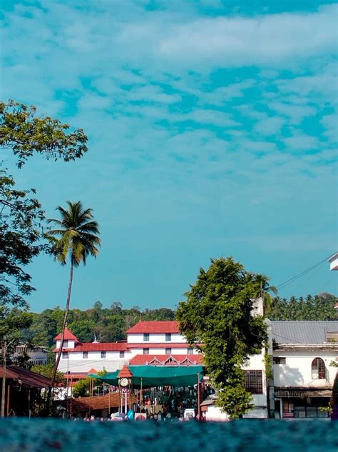 Photography And Color Grading Examples Freelancer