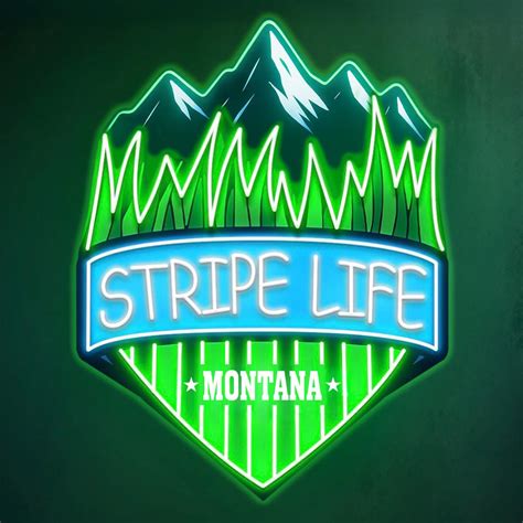 Dixie Chopper 𝗧𝗵𝗲 𝗳𝗿𝗮𝗺𝗲 𝘁𝗵𝗮𝘁 𝘀𝘁𝗮𝗿𝘁𝗲𝗱 𝗶𝘁 𝗮𝗹𝗹 The 6 Rail Frame Design