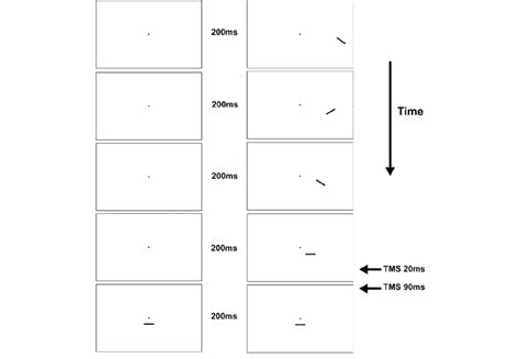 Demonstration Of Target Alone And Random Sequence Used In This Download Scientific Diagram