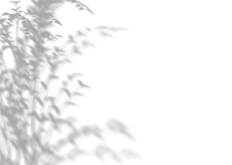 Shadow Overlay Pngs For Free Download