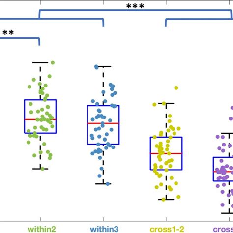 Average Functional Connectivity Within And Across Structurally Derived