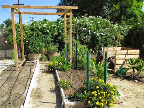 Andies Way Basil Hummus