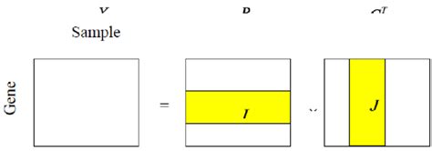 diagram matrix of truncated svd download scientific diagram
