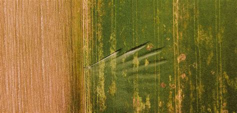 The AgStack Foundation Feeding A Hunger For Open Source