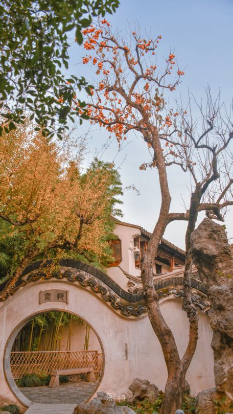 Sphinx X X On Tumblr