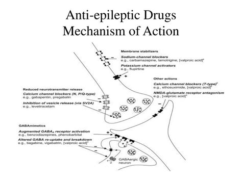 Ppt Epilepsy Powerpoint Presentation Free Download Id1989594