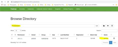 Insert Text Data Into Hdfs File Structure Pubudu Dewagama