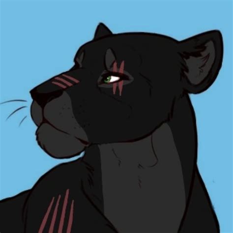 Shadow Sassysaber I Hope So Fanon Wiki Fandom