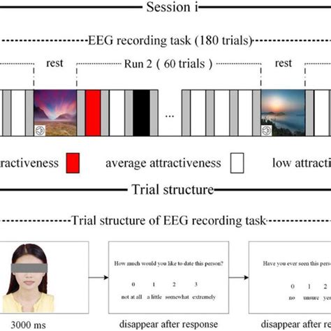 Experimental Protocol And Trial Structure A Experimental Protocol