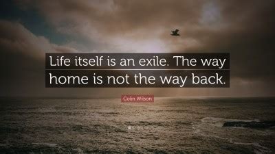 The Way Way Back Quotes