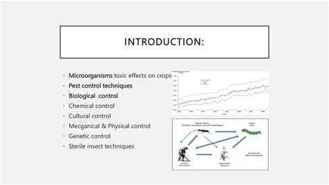 Pest Control Processpptx